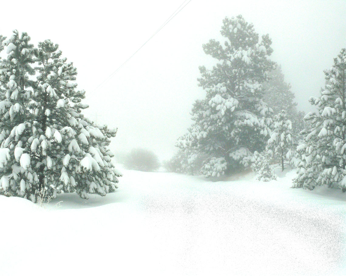 Spring Snow. – Glacier View Meadows